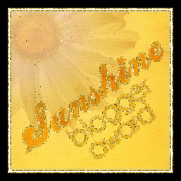 Sunshine GIF - Find on GIFER