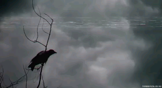 Scary GIF - Find on GIFER
