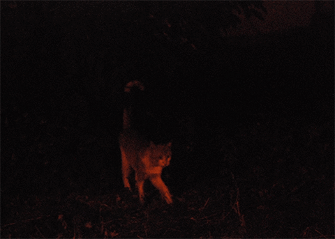 Dark side GIF - Find on GIFER