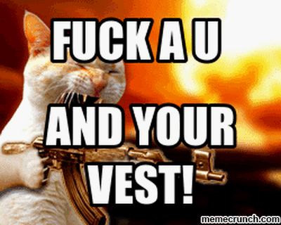 GIF au memes - animated GIF on GIFER