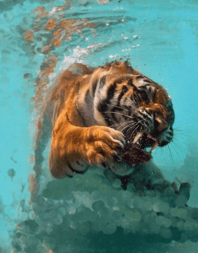 Chocolate food sweet GIF - Find on GIFER