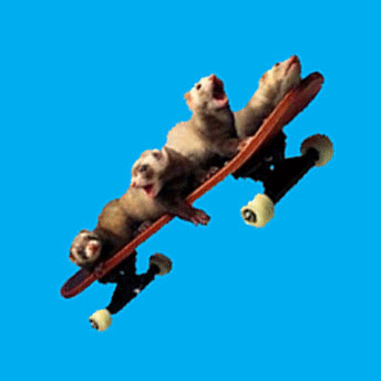 Skate GIF - Find on GIFER