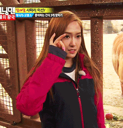 Running man GIF - Find on GIFER