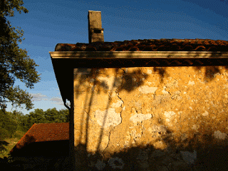 Shade GIF - Find on GIFER