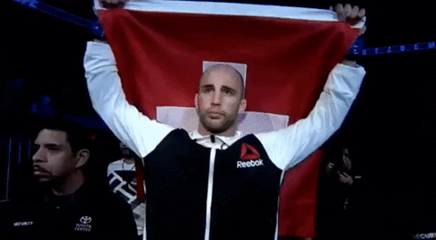 Ufc mma ufc 214 GIF - Find on GIFER