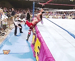 GIF wwf - animated GIF on GIFER
