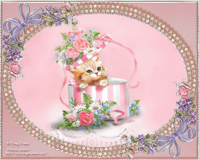 Penny GIF - Find on GIFER