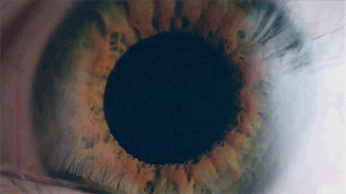 Eye GIF - Find on GIFER