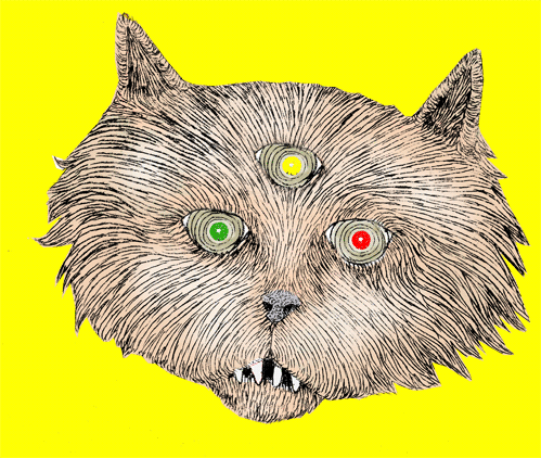 Psychedelic kitty third eye GIF - Find on GIFER
