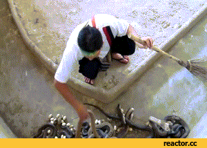 Snake GIF - Find on GIFER