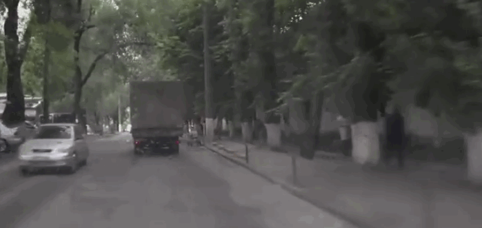 GIF street tree - animated GIF on GIFER