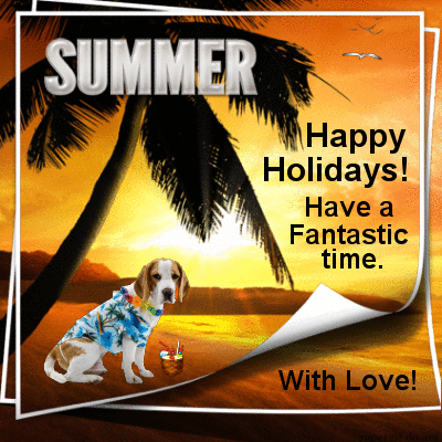 Holiday GIF - Find on GIFER