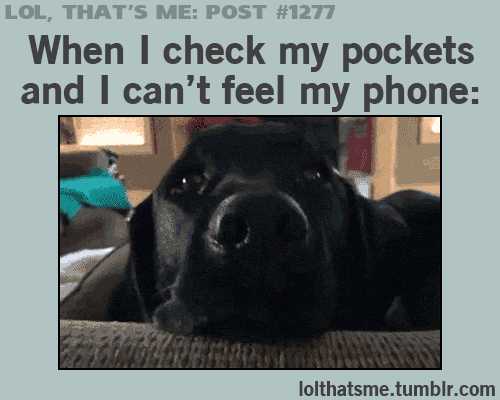 GIF time - animated GIF on GIFER
