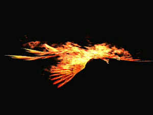 Flying GIF - Find on GIFER