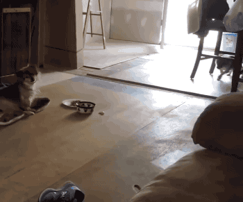 Comments GIF - Find on GIFER