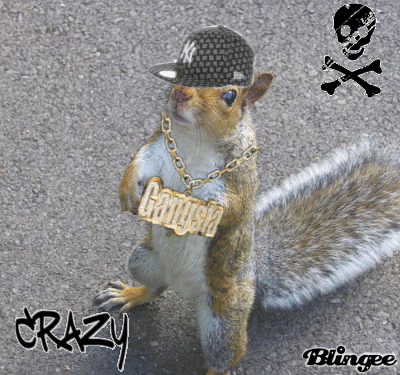 Crazy GIF - Find on GIFER