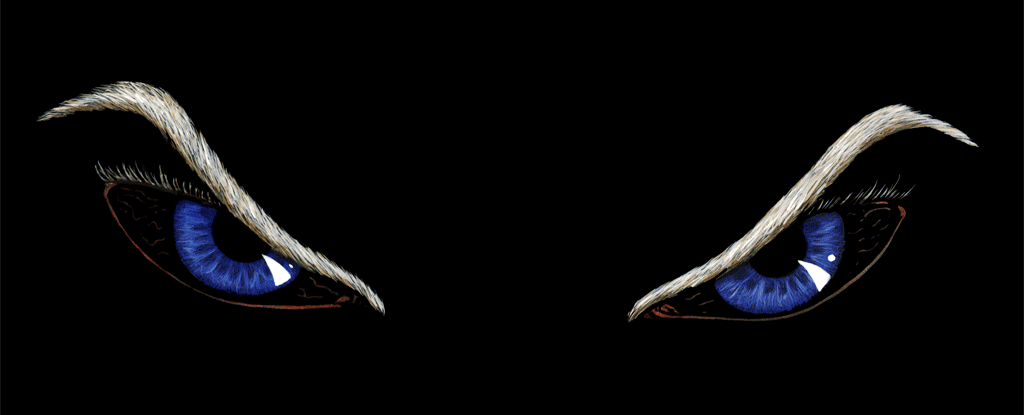 Eyes GIF - Find on GIFER