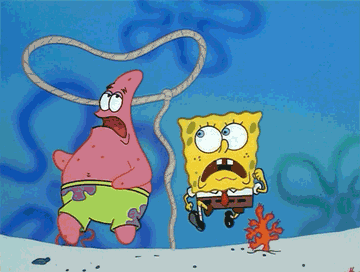 Red caet GIF - Find on GIFER