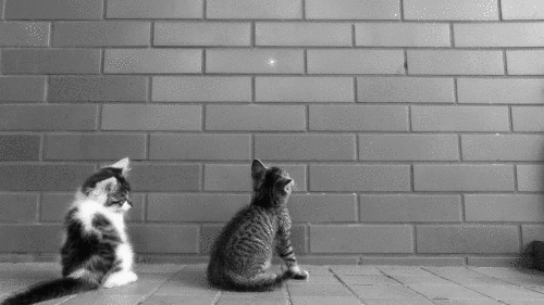 Robot GIF - Find on GIFER