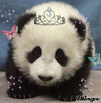 Baby panda GIF - Find on GIFER