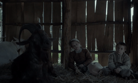 Movie horror the witch GIF - Find on GIFER