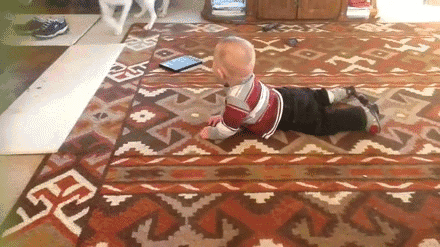 Omfg GIF - Find on GIFER