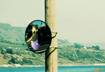 Artist mirror art GIF on GIFER - by Nern