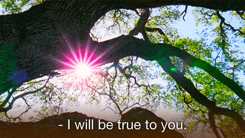 The tree of life GIF - Find on GIFER