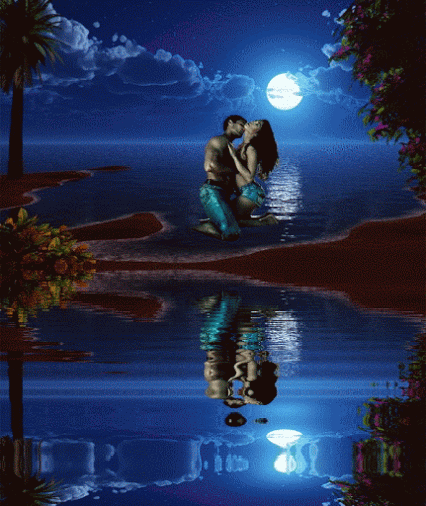 Fat cat GIF - Find on GIFER