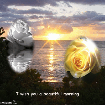 GIF i wish - animated GIF on GIFER