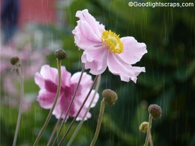 Season GIF - Find on GIFER