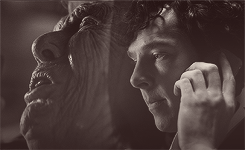 Link GIF - Find on GIFER