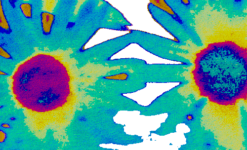 Psychedelic GIF - Find on GIFER
