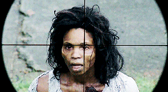 Twd GIF - Find on GIFER