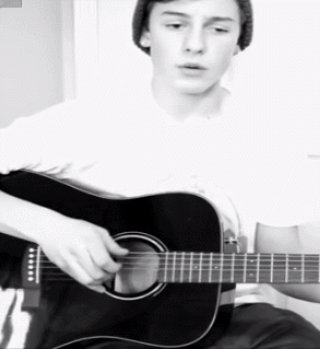 Passaro Voador Gif Transparente