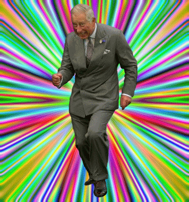 GIF meme - animated GIF on GIFER