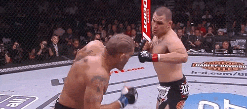 Ufc sports rm GIF - Find on GIFER