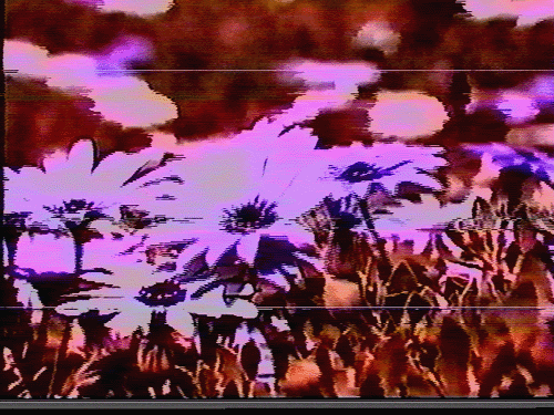 Vhs glitch max capacity GIF - Find on GIFER