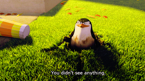 Random GIF - Find on GIFER