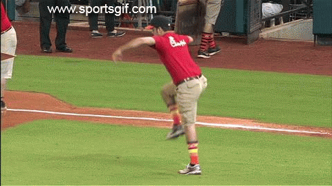 GIF baseball - animated GIF on GIFER