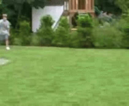 Gif De Bebe Borracho Borracho GIFs | Tenor