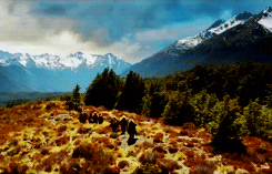 The hobbit lotr GIF - Find on GIFER