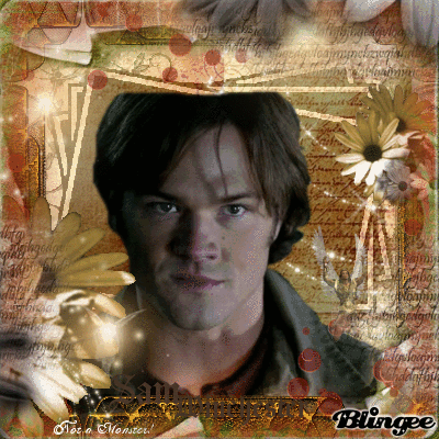 GIF sam winchester - animated GIF on GIFER