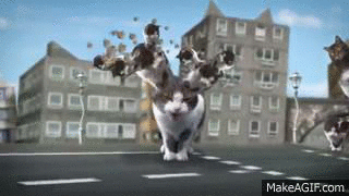 Cat tree GIF - Find on GIFER
