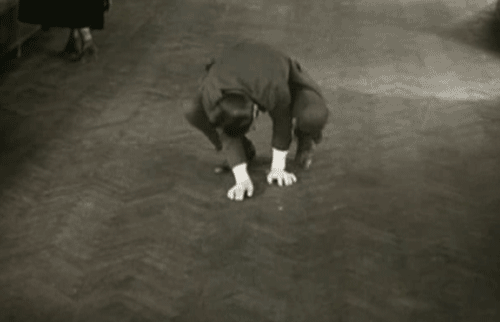 Gif Animado De Llave Y Peele LeBlogDuJorge