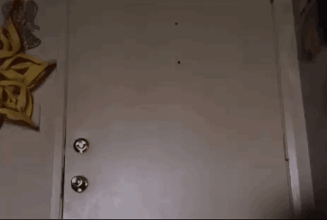 Door GIF - Find on GIFER