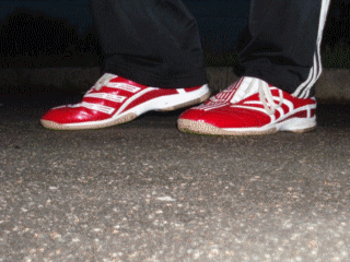 GIF adidas - animated GIF on GIFER