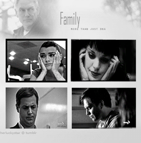 Ncis GIF - Find on GIFER