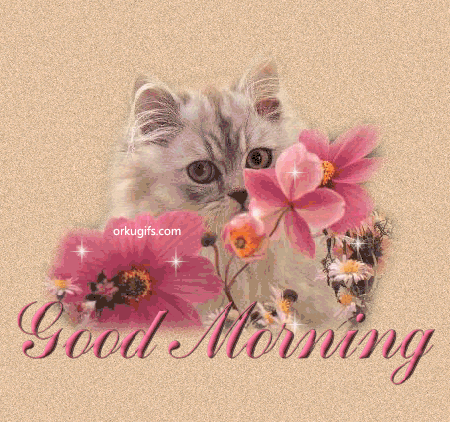 August GIF - Find on GIFER