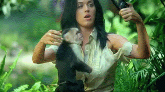Katy perry roar music GIF - Find on GIFER